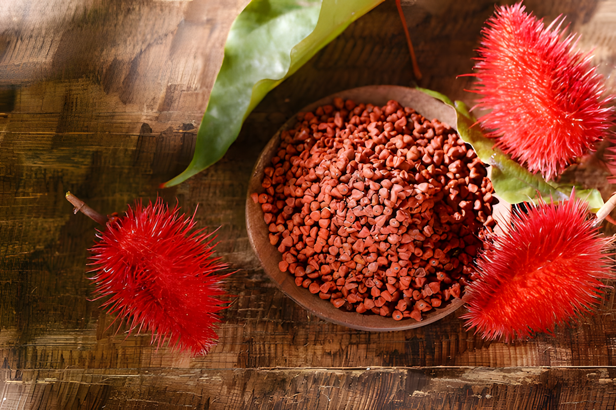 Urucum: Tradição, Cor e Saúde em uma Única Planta
