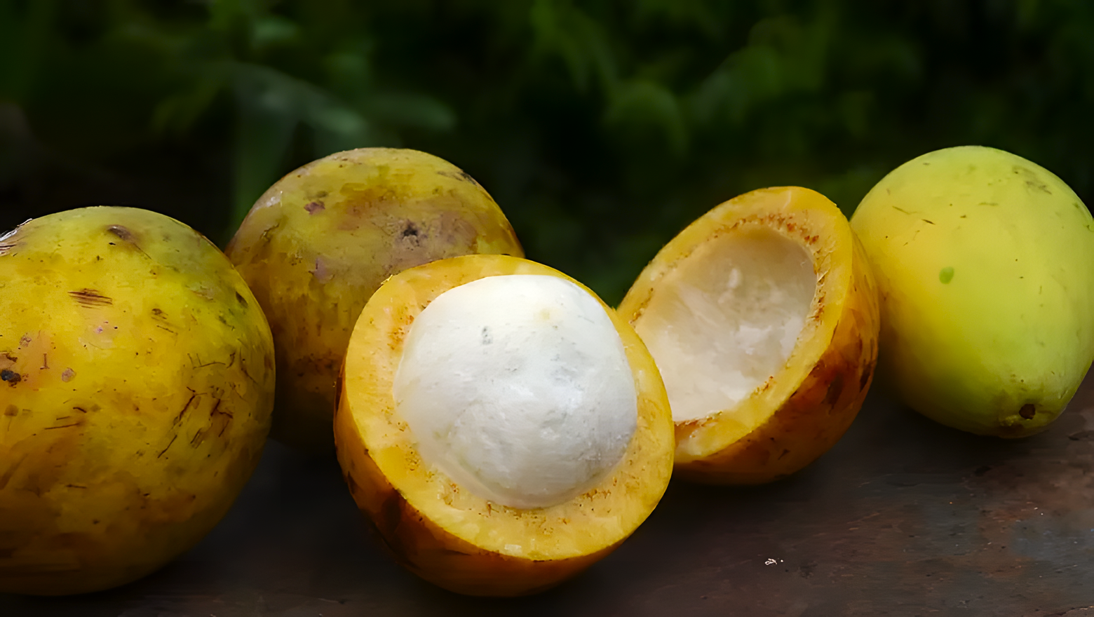 Bacuri: Tesouro da Amazônia com Fruto Exótico