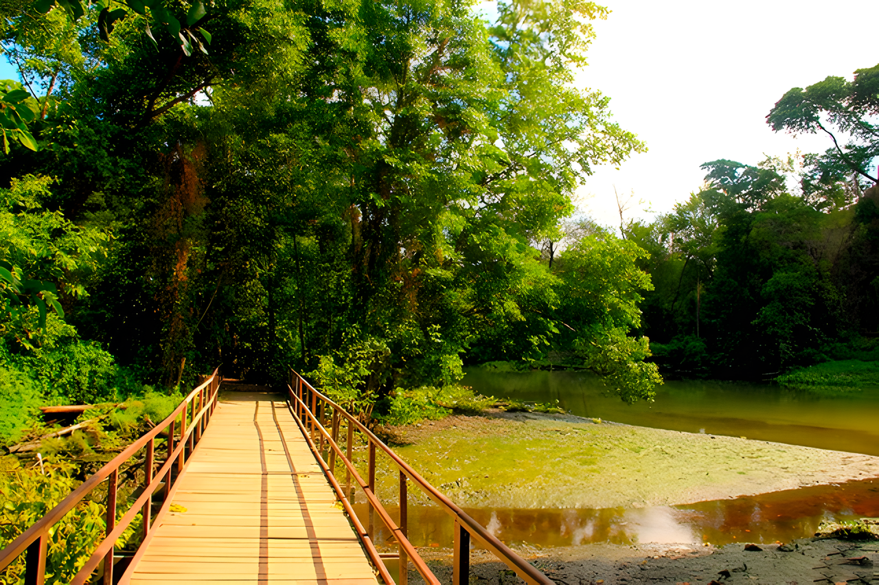 Parque do Rio Cocó: Oásis Verde no Coração de Fortaleza